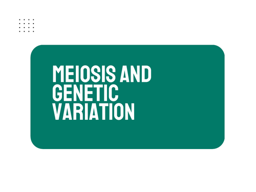 AP Biology: Meiosis and Genetic Variation Exam Practice | Teaching ...