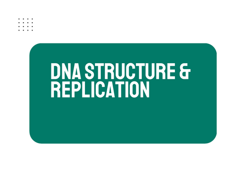 AP Biology: DNA Structure and Replication Exam Practice | Teaching ...