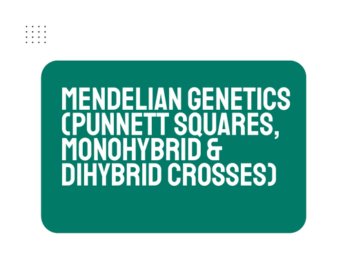 AP Biology: Mendelian Genetics Exam Practice | Teaching Resources