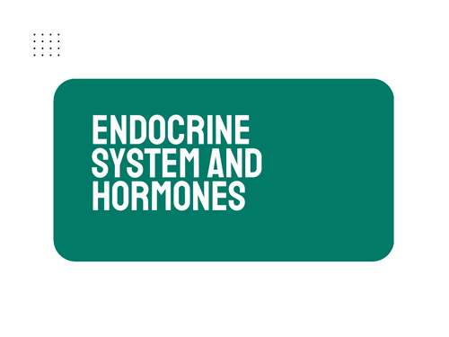 AP Biology: Endocrine System and Hormones Exam Practice | Teaching ...