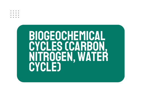 AP Biology: Biogeochemical Cycles (Carbon, Nitrogen, Water Cycle) Exam ...