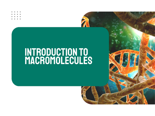 AP Biology Unit 1: Introduction to Macromolecules | Teaching Resources