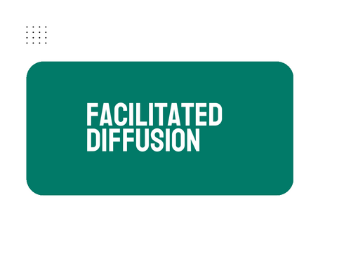 AP Biology Unit 2: Facilitated Diffusion | Teaching Resources