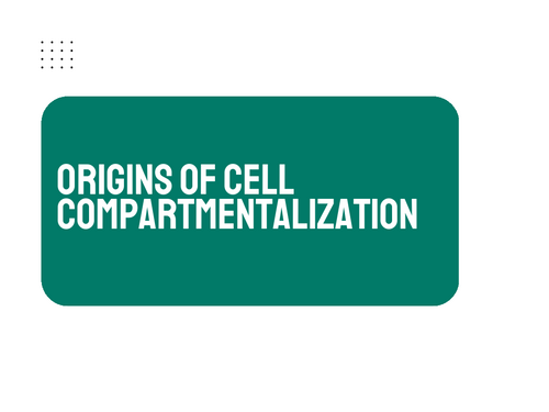 AP Biology Unit 2: Origins of Cell Compartmentalization | Teaching ...