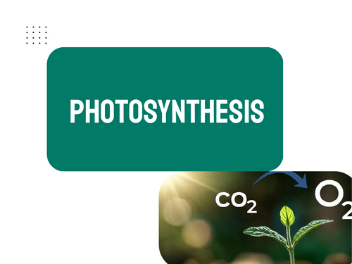 AP Biology Unit 3: Photosynthesis | Teaching Resources
