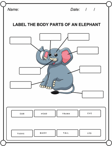Elephant Body Parts Activity Pack | Labeling, Coloring & Word Search (K ...