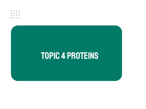 Food and Nutrition: Proteins Lesson | Teaching Resources