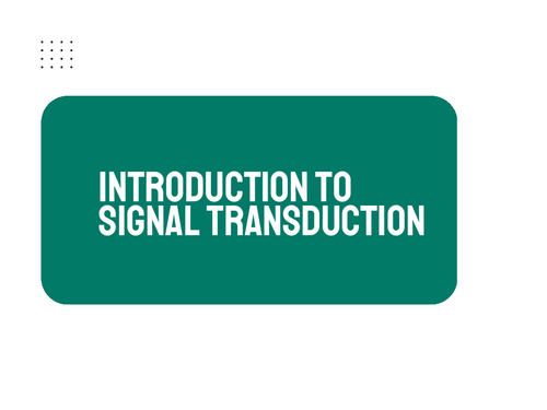 AP Biology Unit 4: Introduction to Signal Transduction | Teaching Resources
