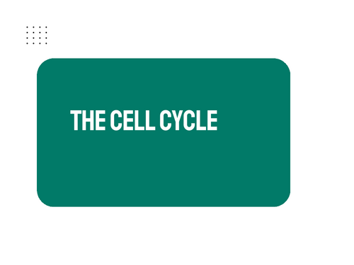 AP Biology Unit 4: Cell Cycle | Teaching Resources