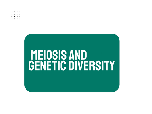 AP Biology Unit 5: Meiosis and Genetic Diversity | Teaching Resources