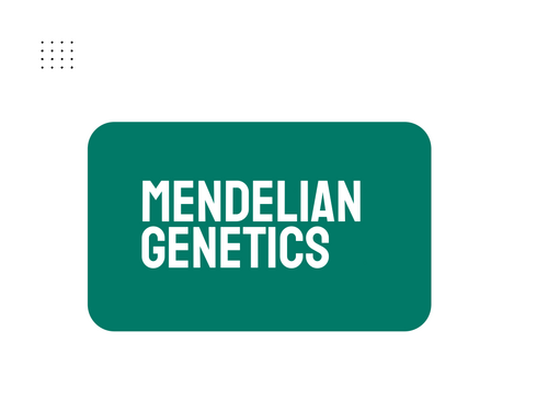 AP Biology Unit 5: Mendelian Genetics | Teaching Resources
