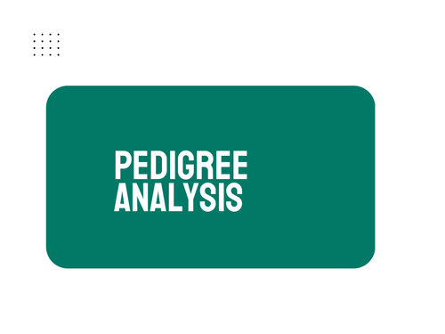 AP Biology Unit 5: Pedigree Analysis | Teaching Resources