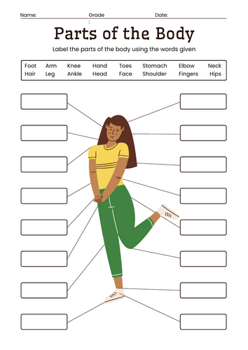 Label the Parts of the Body Activity Sheet (Human Anatomy for Early ...