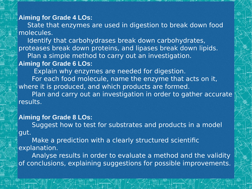 B3.6 How the Digestive System Works – Full Lesson Pack (AQA GCSE ...