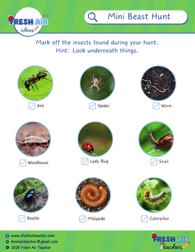 Mini Beast Scavenger Hunt | Teaching Resources