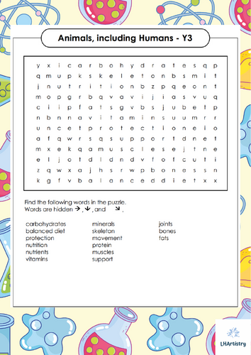 Year 3 Science Vocabulary Wordsearch Pack | Teaching Resources