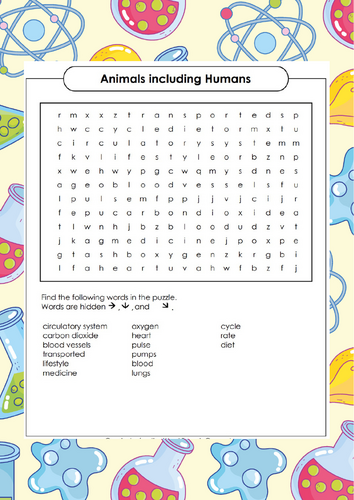 Year 6 Science Vocabulary Wordsearches | Teaching Resources