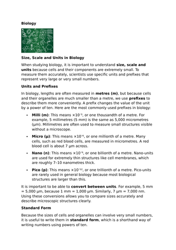 Size, Scale and Units | Teaching Resources