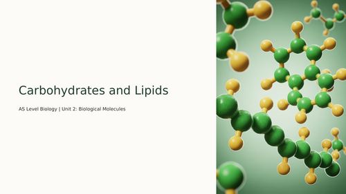 AS Level Biology - Carbohydrates and Lipids | Teaching Resources