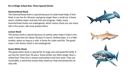 The Magic School Bus: Shark Adventure – EAL Unit | Teaching Resources