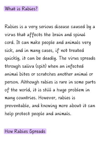 Everything You Need to Know About Rabies: A Guide for World Rabies Day ...
