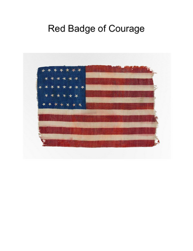 The Red Badge of Courage Discussion Prompts | Teaching Resources