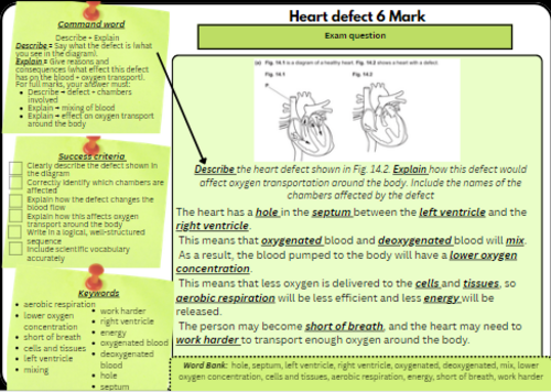 OCR GCSE Biology 6-Mark Question: Heart Defect & Oxygen Transport ...