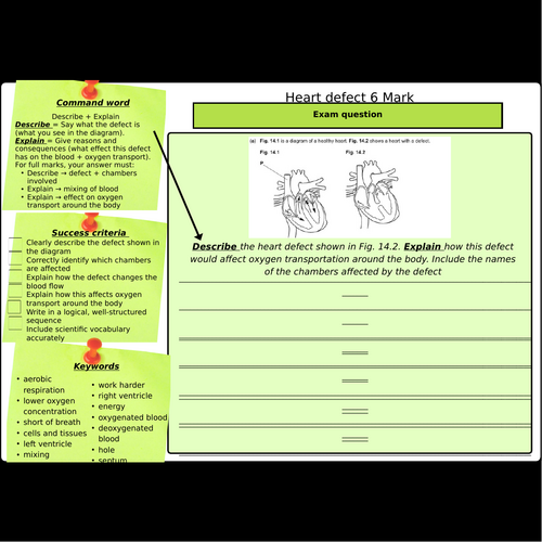 OCR GCSE Biology 6-Mark Question: Heart Defect & Oxygen Transport ...