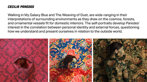 2026 GSCE component 2 Photography Themes - Ideas for artists | Teaching ...