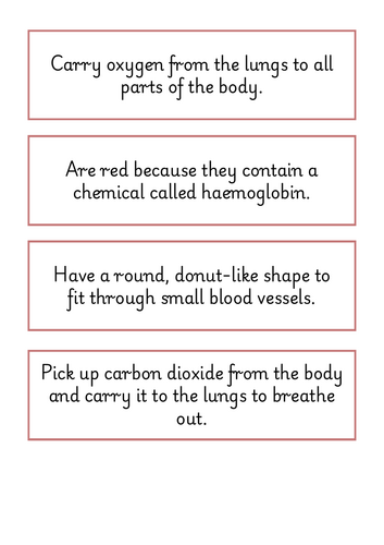Parts of Blood Sorting Activity | Teaching Resources