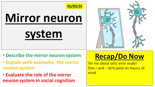 Mirror neuron system | First exams in 2027 - AQA A Level Psychology ...