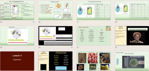 Edexcel IGCSE Biology 9–1 Topic 2a–b: Levels of Organisation, Cells ...
