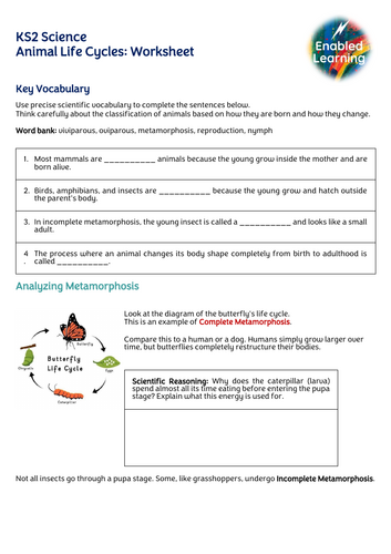 KS2 Science - Animal Life Cycles | Teaching Resources