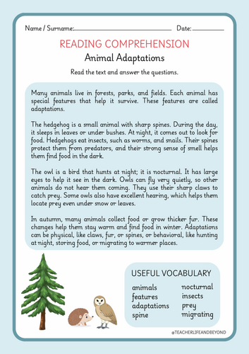 Year 2 Reading Comprehension - Animal Adaptations & The Little Lost ...