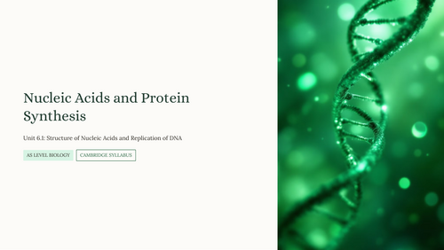 AS Level Biology - Structure of nucleic acids and replication of DNA ...