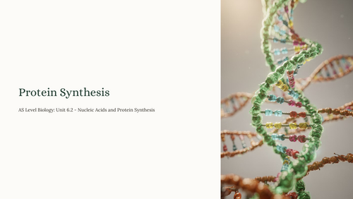 AS Level Biology - Protein Synthesis | Teaching Resources