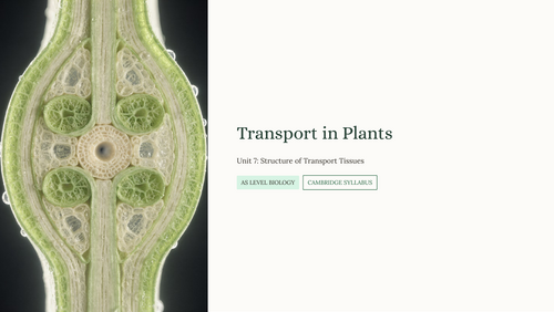 AS Level Biology - Structure of transport tissues (Plants) | Teaching ...