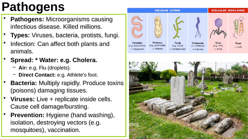 GCSE Coordinated Science: Immunity & Infection | Teaching Resources