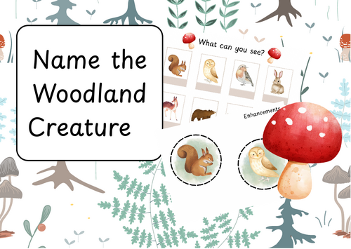 What can you see? Name the woodland creature | Teaching Resources