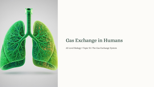 AS Level Biology - The Gas Exchange System | Teaching Resources