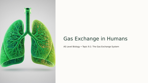 AS Level Biology - The Gas Exchange System | Teaching Resources