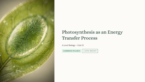 A Level Biology - Photosynthesis as an energy transfer process ...
