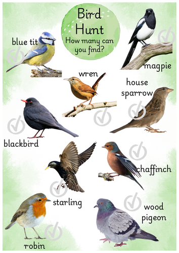 Bird Hunt Sheets - Garden Birdwatch | Teaching Resources