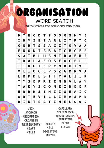 GCSE Biology – Organisation | Word Search Worksheet | Teaching Resources