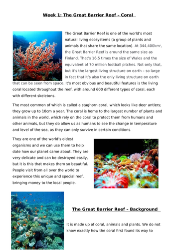 Ocean Ecosystems – Coral Reefs, Deep Sea and Trenches (KS3 Geography ...
