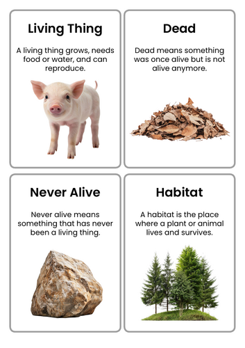Living Things and Their Habitats Vocabulary Flashcards | Science ...