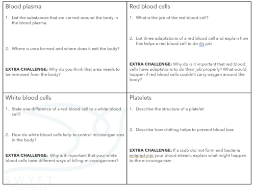 NEW WJEC (2026) GCSE Science - The blood | Teaching Resources