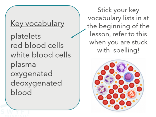 NEW WJEC (2026) GCSE Science - The blood | Teaching Resources
