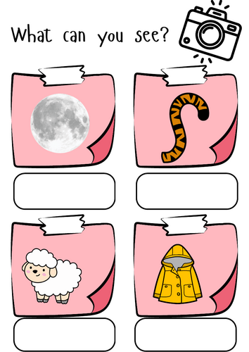 What Can You See? Phase 3 CVC Writing | Teaching Resources