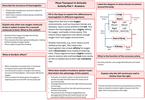 Mass Transport in Animals Revision Notes and Activity Mat | Teaching ...